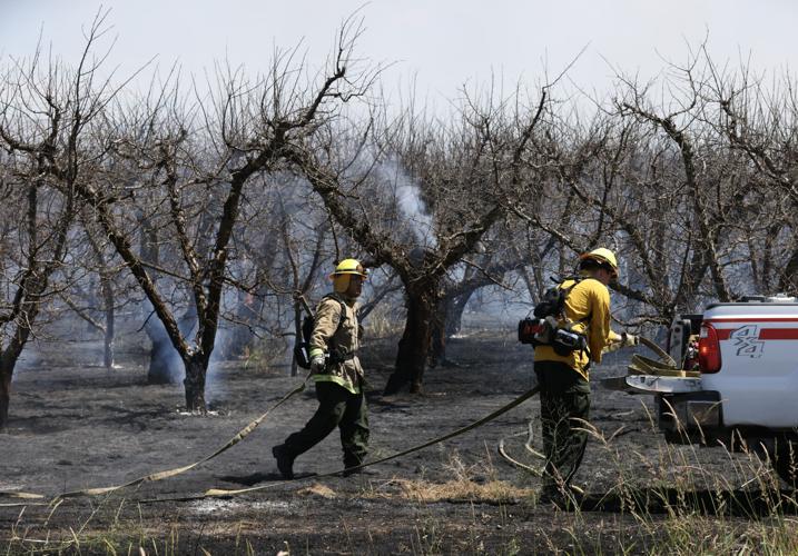Brush fire burns around 20 acres in orchard near Wapato | Lower Valley ...