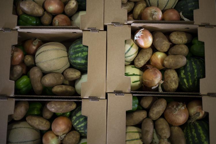 Yakama Nation acquires Inaba Produce Farms near Wapato | Local ...