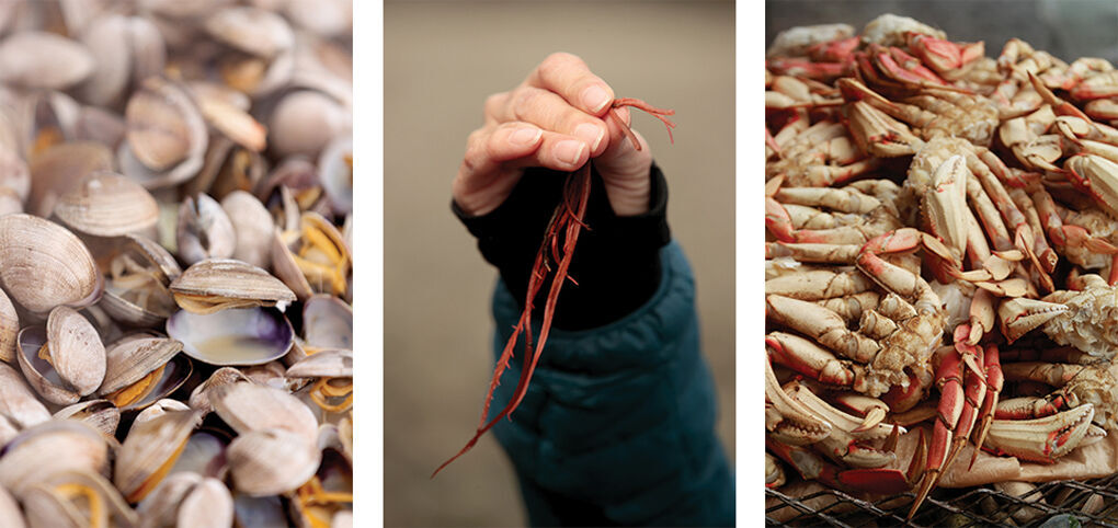 First foods: How Native people are revitalizing the natural nourishment ...