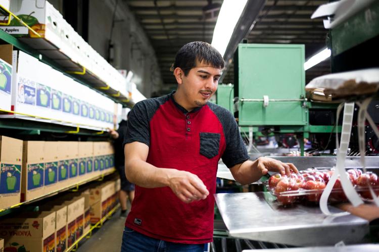 Photos: Borton Fruit expands its operations | News Photos ...