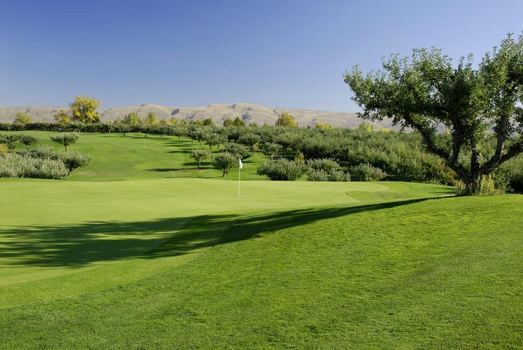Apple Tree Golf Course - Best Golf Course | | yakimaherald.com