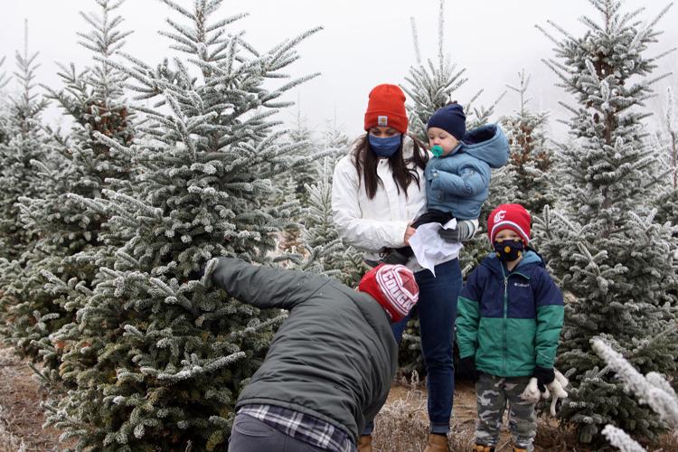 Popularity of customer-cut Christmas trees brought an early end to ...