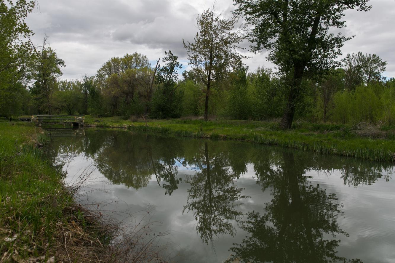 Eschbach Nature Area in upper Yakima County delights those who can find ...