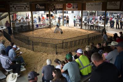 4-H livestock competitions, music and rodeo planned at Yakima Valley ...