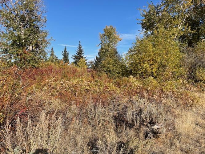 Four fall hikes for families in Central Washington | Explore Yakima ...