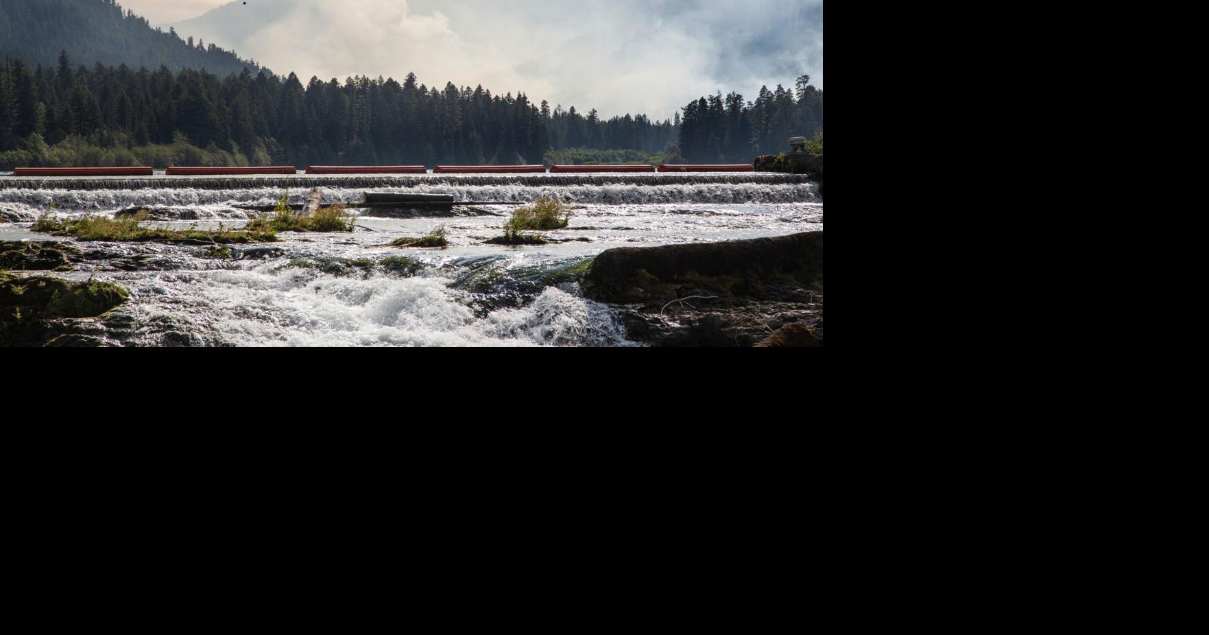 Wildfire near White Pass grows beyond 800 acres | Local | yakimaherald.com