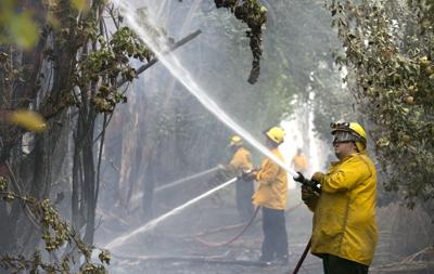 Letter: Apples for Firefighters offers a slice of support | Opinion ...