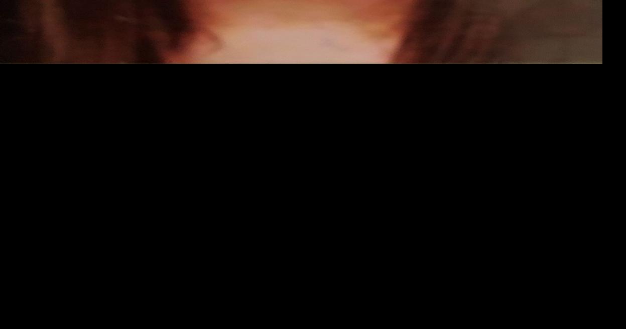 Jennifer M. Williams (Orlando) | Test | yakimaherald.com