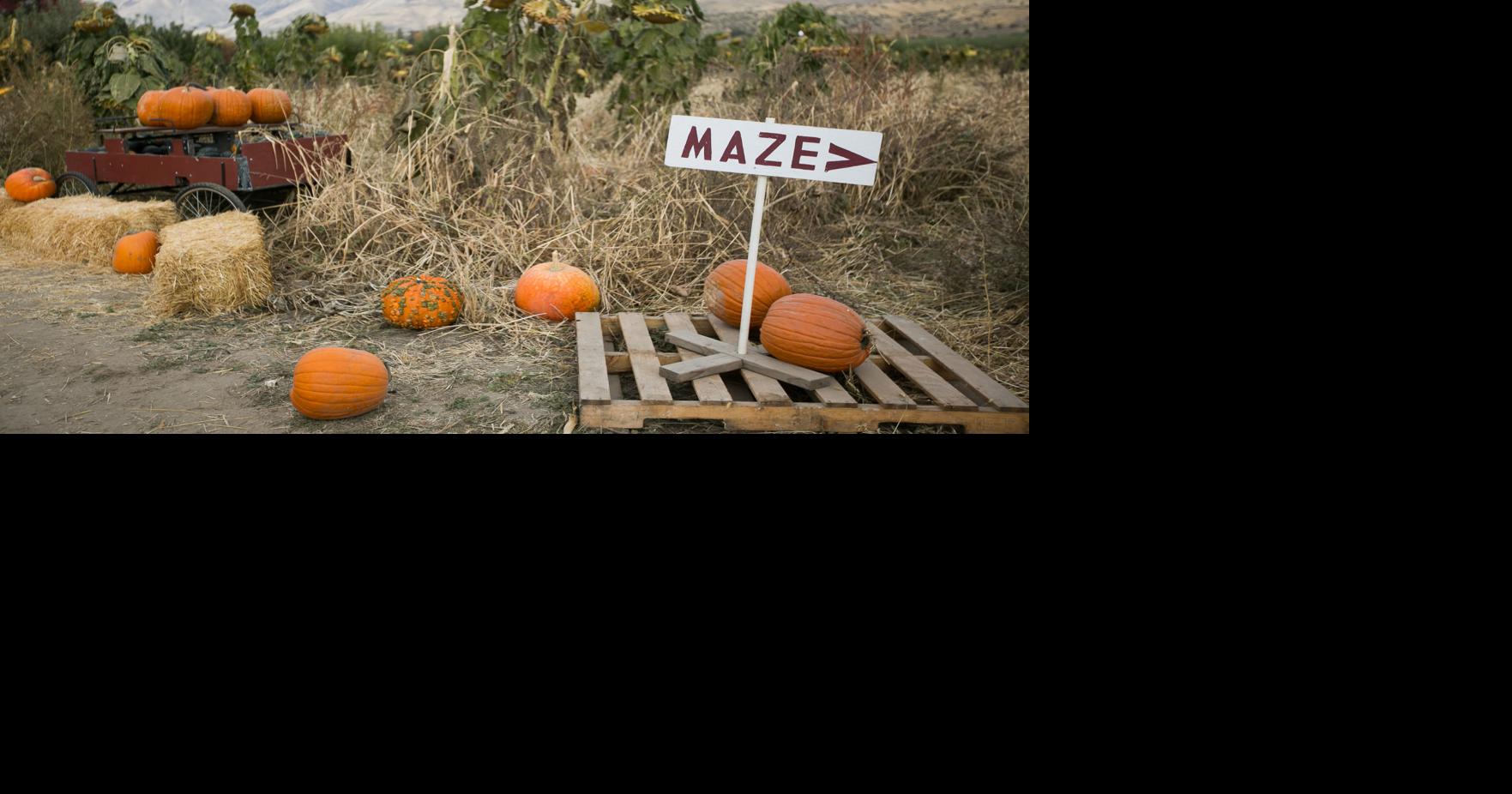 8 places to take your family for fall fun in the Yakima Valley ...