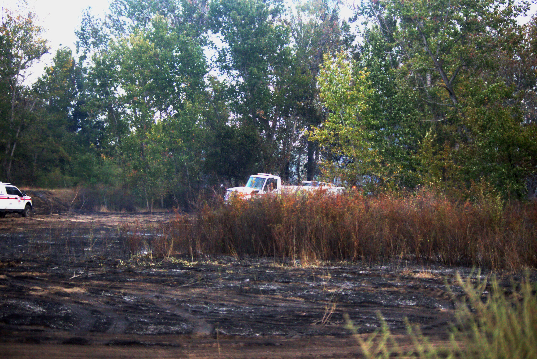 Firefighters battle 15-acre wildfire near Wierman Road near Toppenish ...