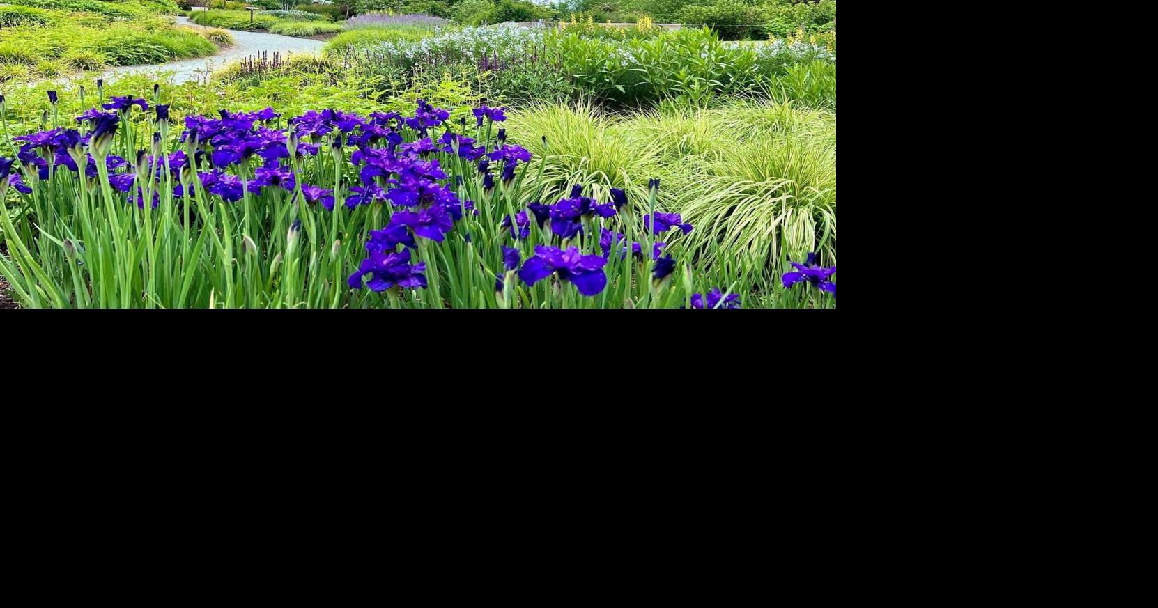 5 outings to see spring flowers around Seattle this May | Entertainment ...