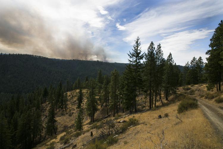 A 600-acre Wildfire Growing in Naches Ranger District (13 images ...