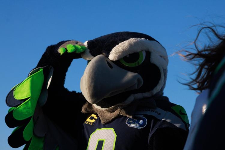 As Seahawks head to playoffs, here’s how Seattle NFL fans stack up | Seahawks | yakimaherald.com