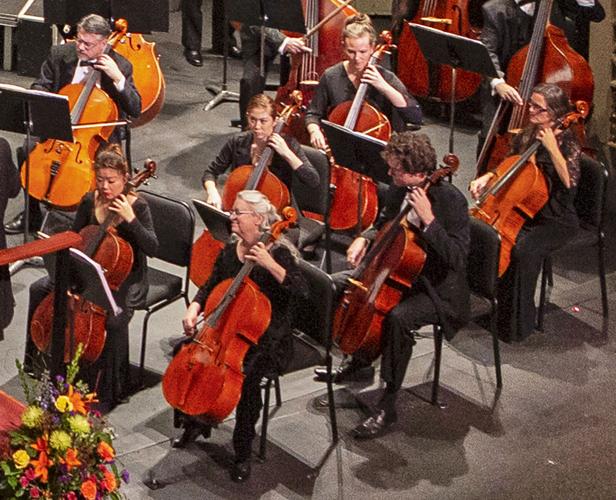 orchestra violin section