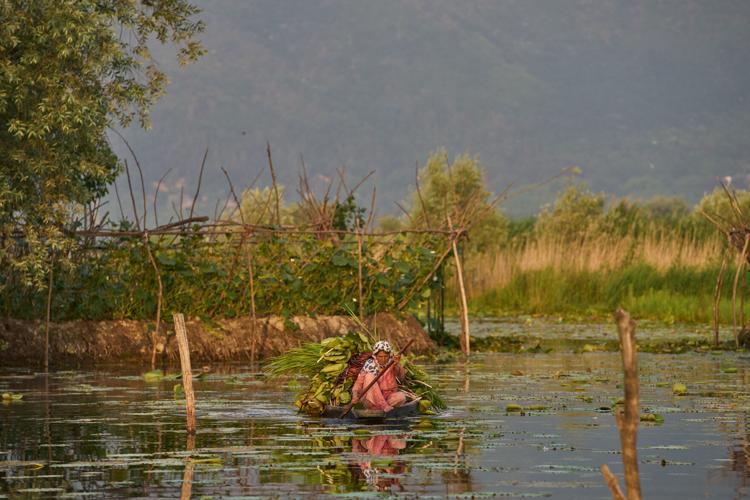 Daily life around the world, in photos | Nation | yakimaherald.com