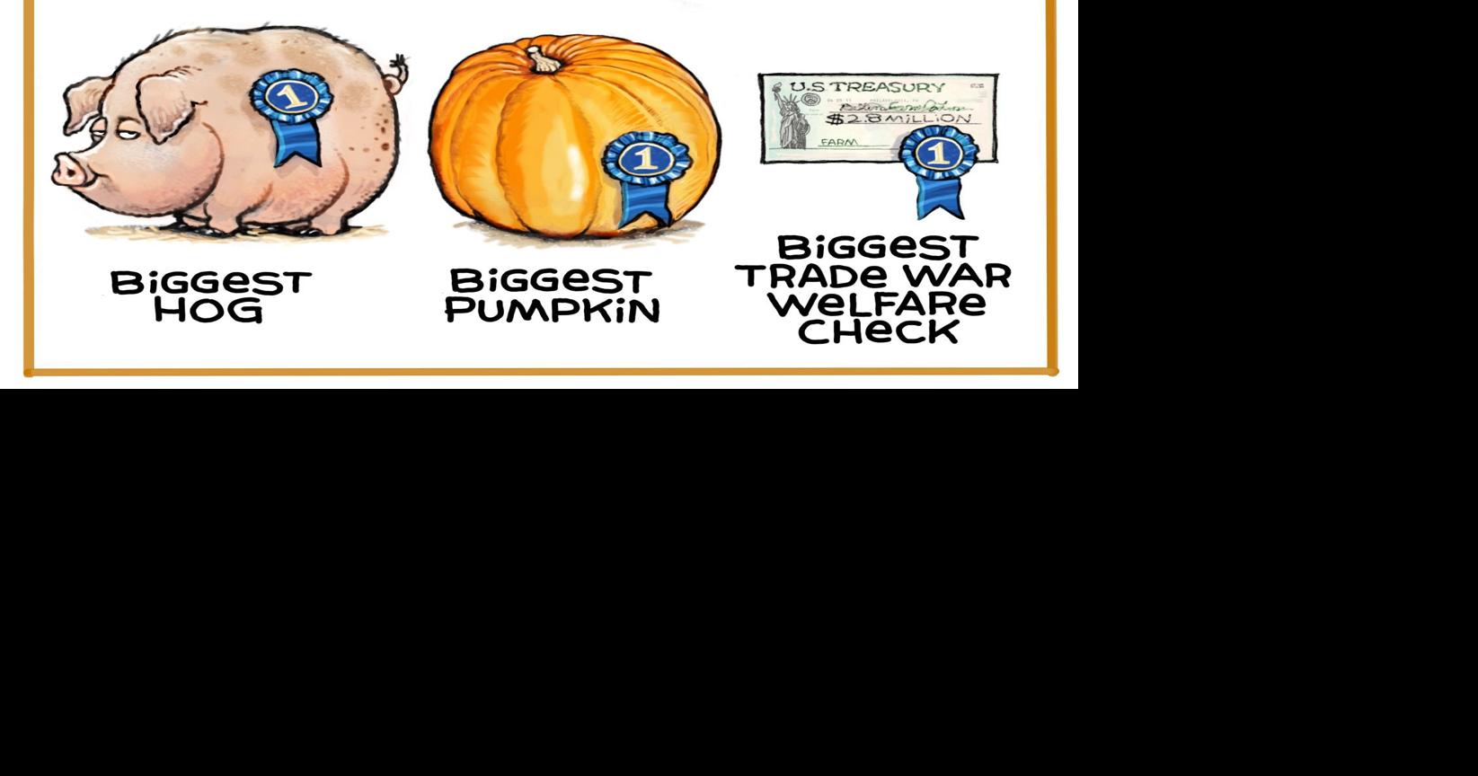 Editorial Cartoon / Steve Sack (Aug. 20, 2019) | Cartoons ...
