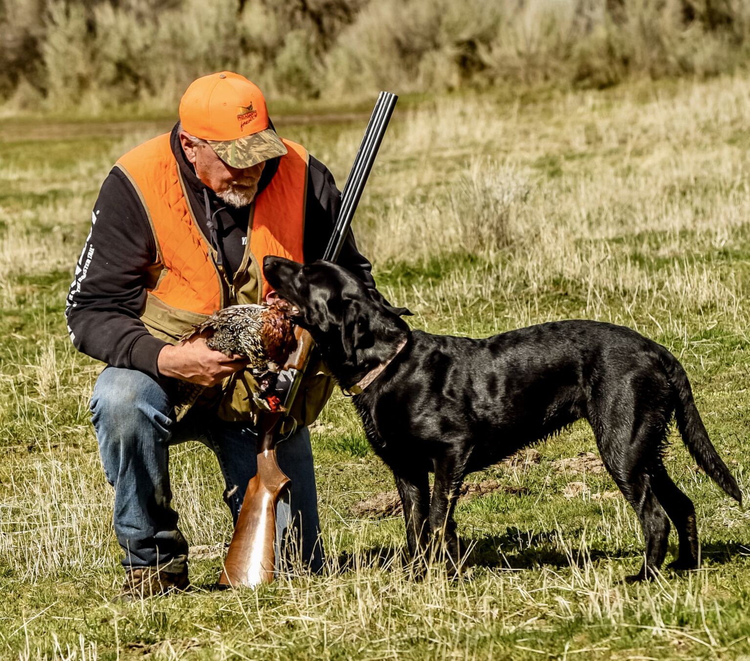 Rob Phillips: Now 8, Bailey readies for another hunting season in the ...