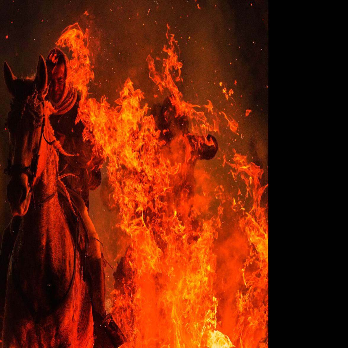 celtic flame horse