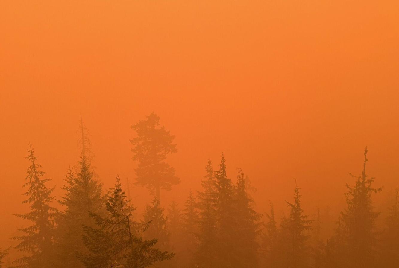 Bear Gulch Fire spreads to canopy, burns deeper into Olympic National ...