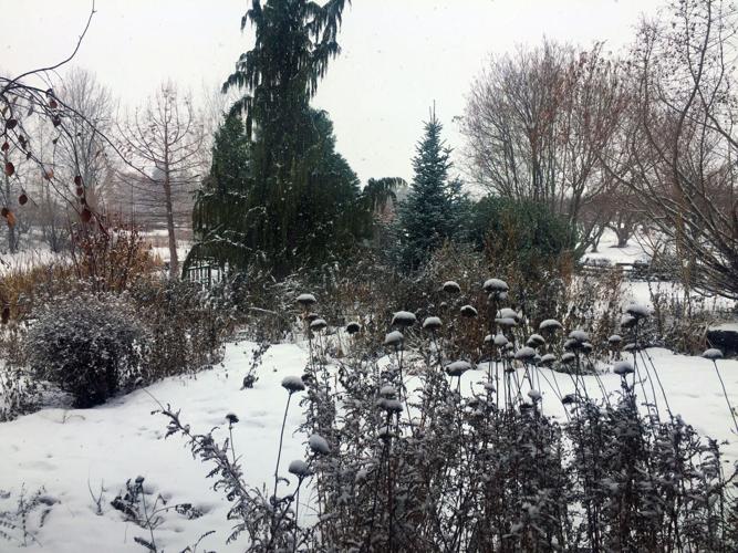 Winter storm warning extended: up to 4 more inches of snow expected ...