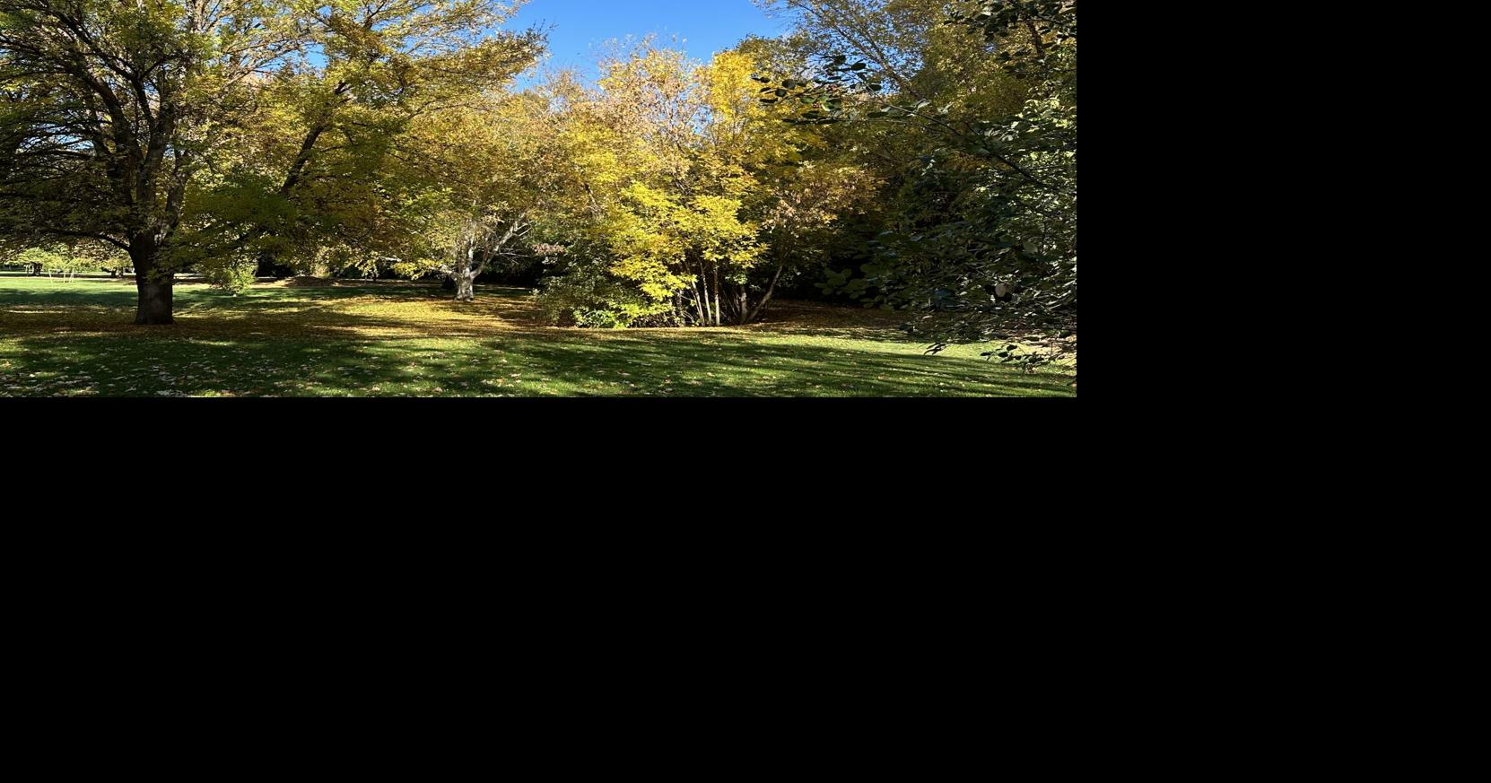 Here are some of the best places to explore Yakima's urban autumn ...