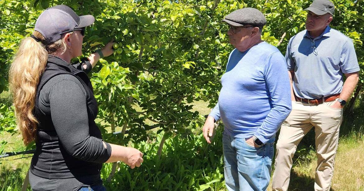 World's bee experts gather in Eastern Washington | Northwest ...
