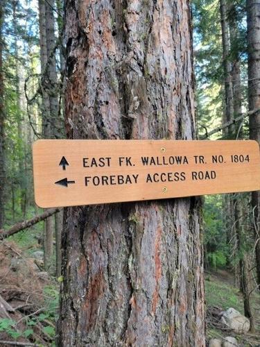 Hiking the Wallowa River Loop Trail, Part 1: The majesty of nature and ...