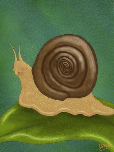 My snail tale: A life lesson in determination | Columnists ...
