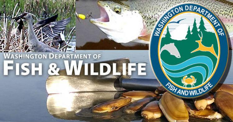 Outdoors notes: WDFW limiting angler access at Vernita Bridge ...