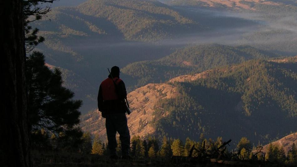 Rob Phillips: General deer, waterfowl hunting seasons open Saturday in ...