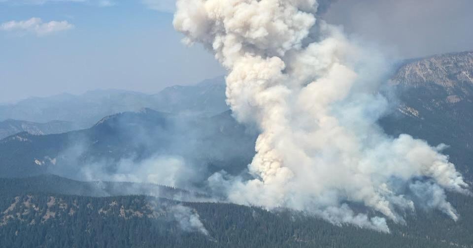 Wildcat Fire grows with Goose Prairie on Level 1 evacuation | Local ...