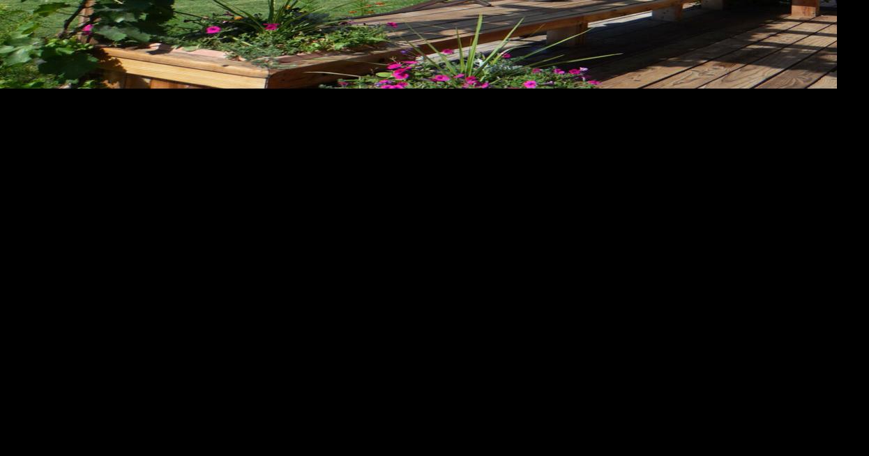 Master Gardeners: Growing your own table grapes Part 1 | Home And ...