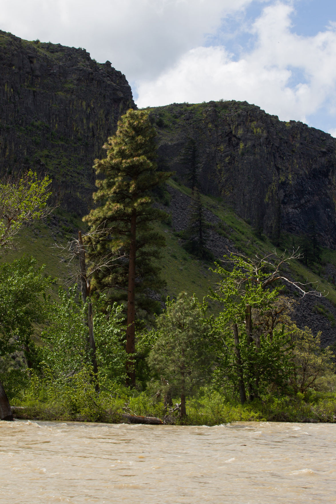 National Weather Service: full reservoirs, warm temperatures causing ...