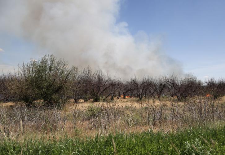 Brush fire burns around 20 acres in orchard near Wapato | Lower Valley ...