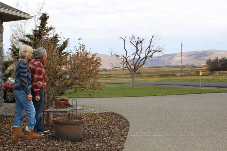 Residents oppose cherry processing plant planned north of Selah | Local ...