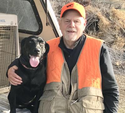 Rob Phillips: Owner and black Lab share in the joys, and pains, of ...