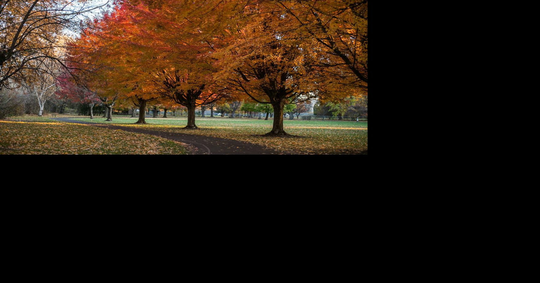 Yakima Valley among the nation's top fall travel destinations ...