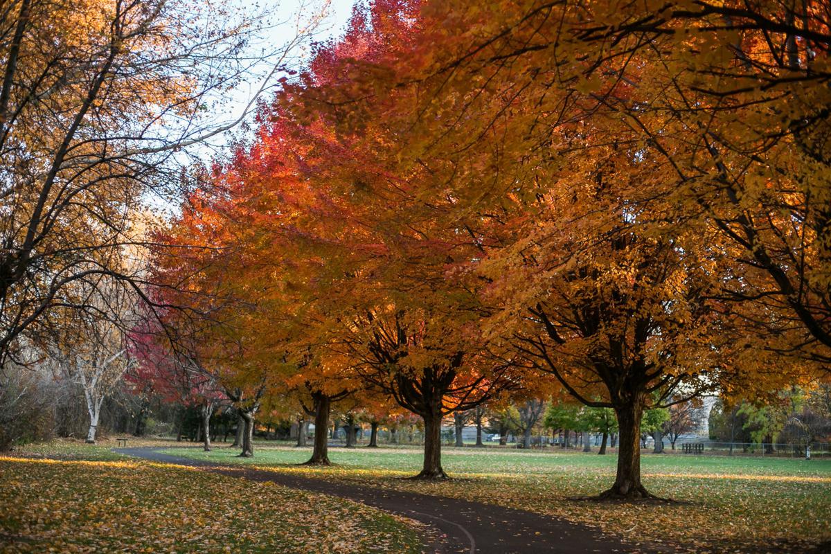 Yakima Valley among the nation's top fall travel destinations ...