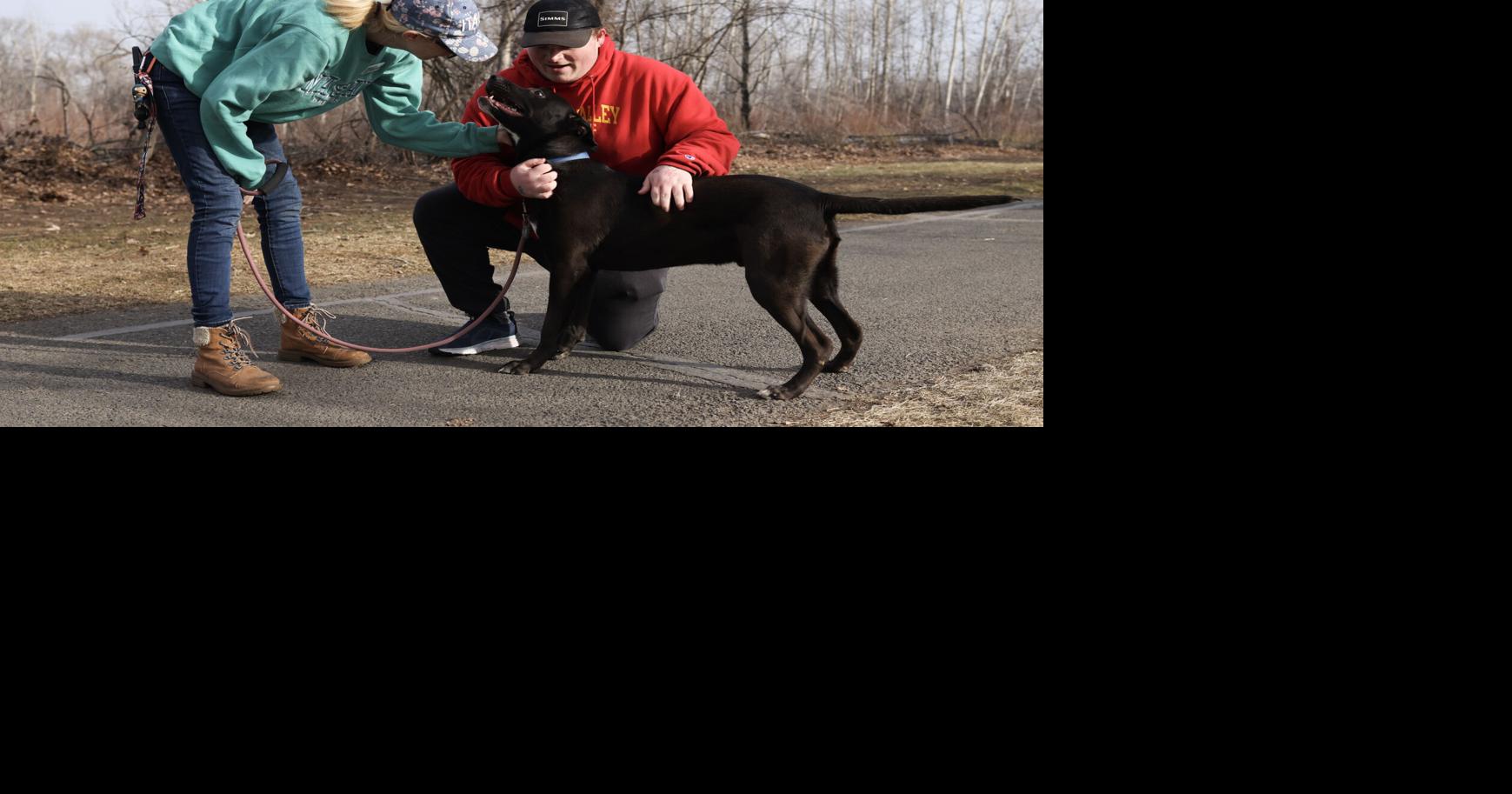 Pediatrics column: Teach your child how to interact safely with dogs ...