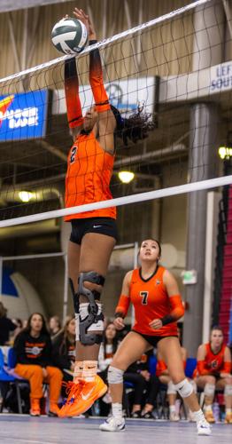 Back in black: Davis' Johnson eager to help Davis repeat as 4A state ...