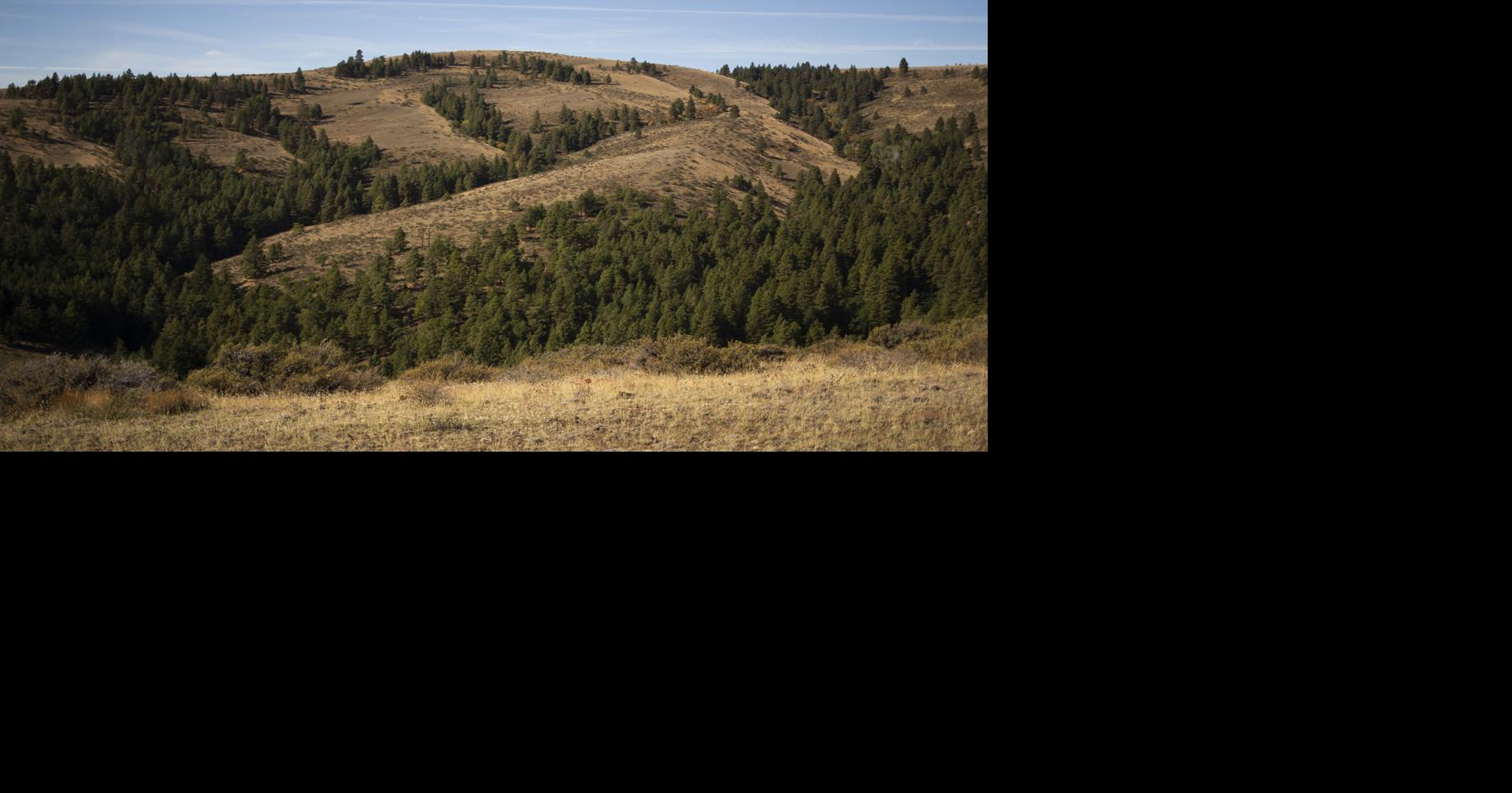 SHARING NATURE: WDFW purchase offers new land for hunting and other ...