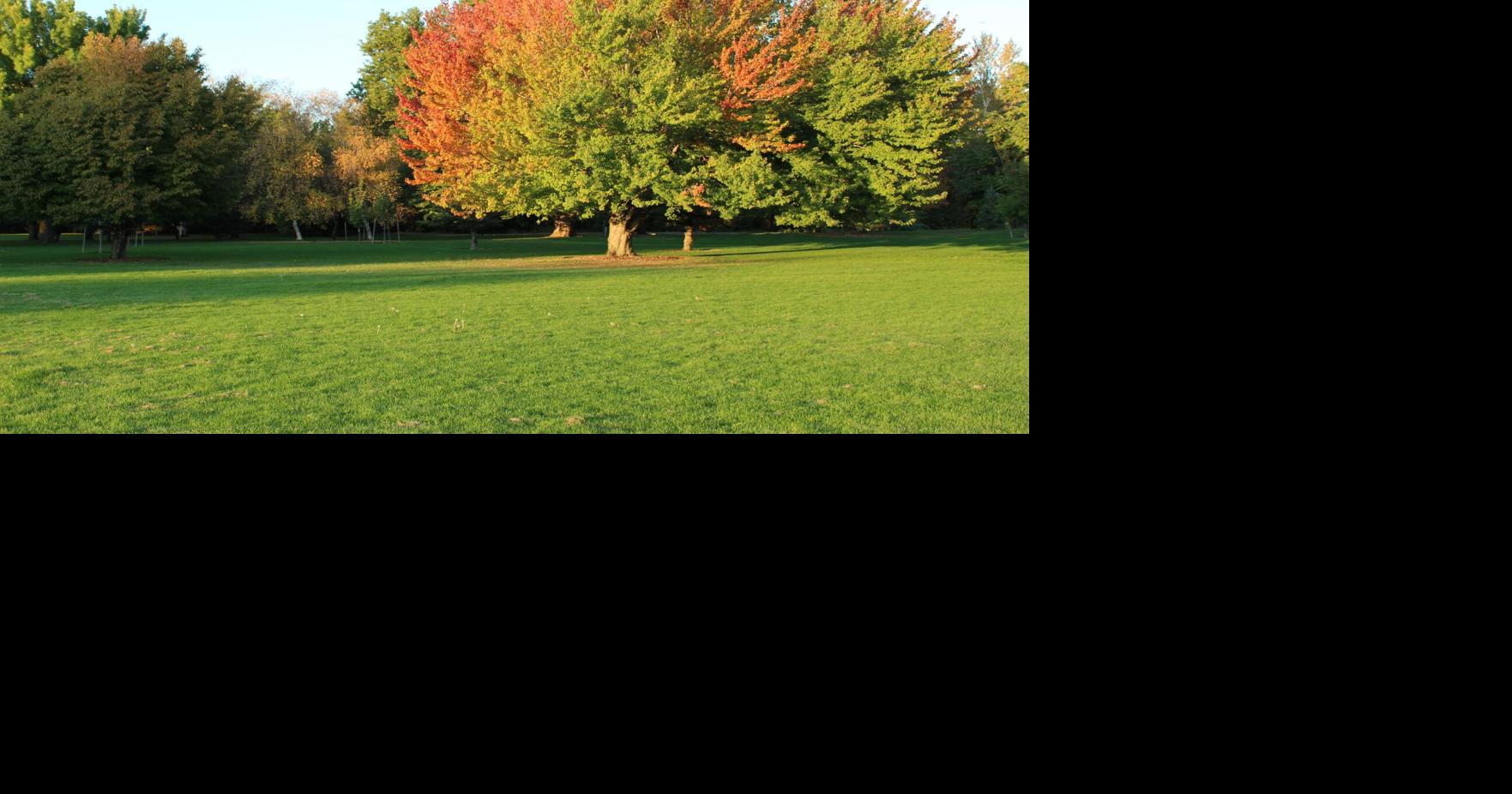 Finally fall: Cooler, wet weather anticipated this weekend in Yakima ...