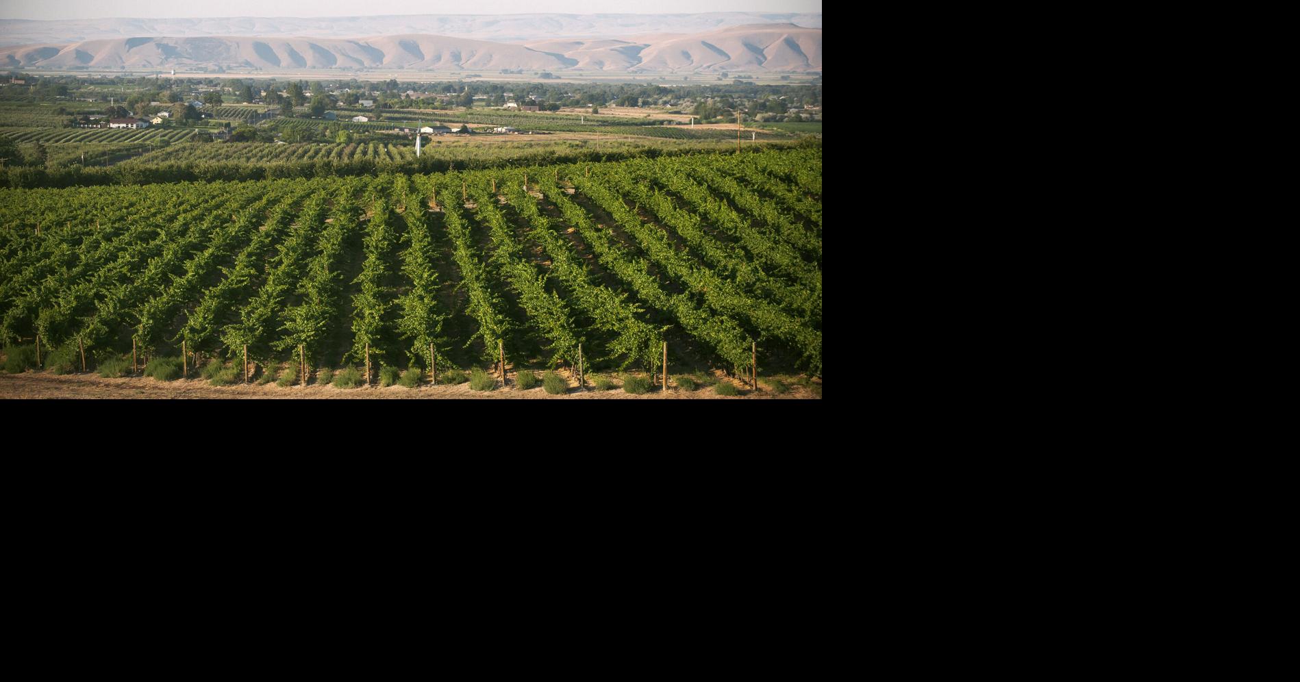 Plenty of new year's resolutions for Yakima Valley Tourism | Business ...