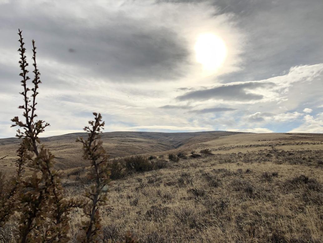 Cowiche Canyon Conservancy reopening trails Saturday | Local ...