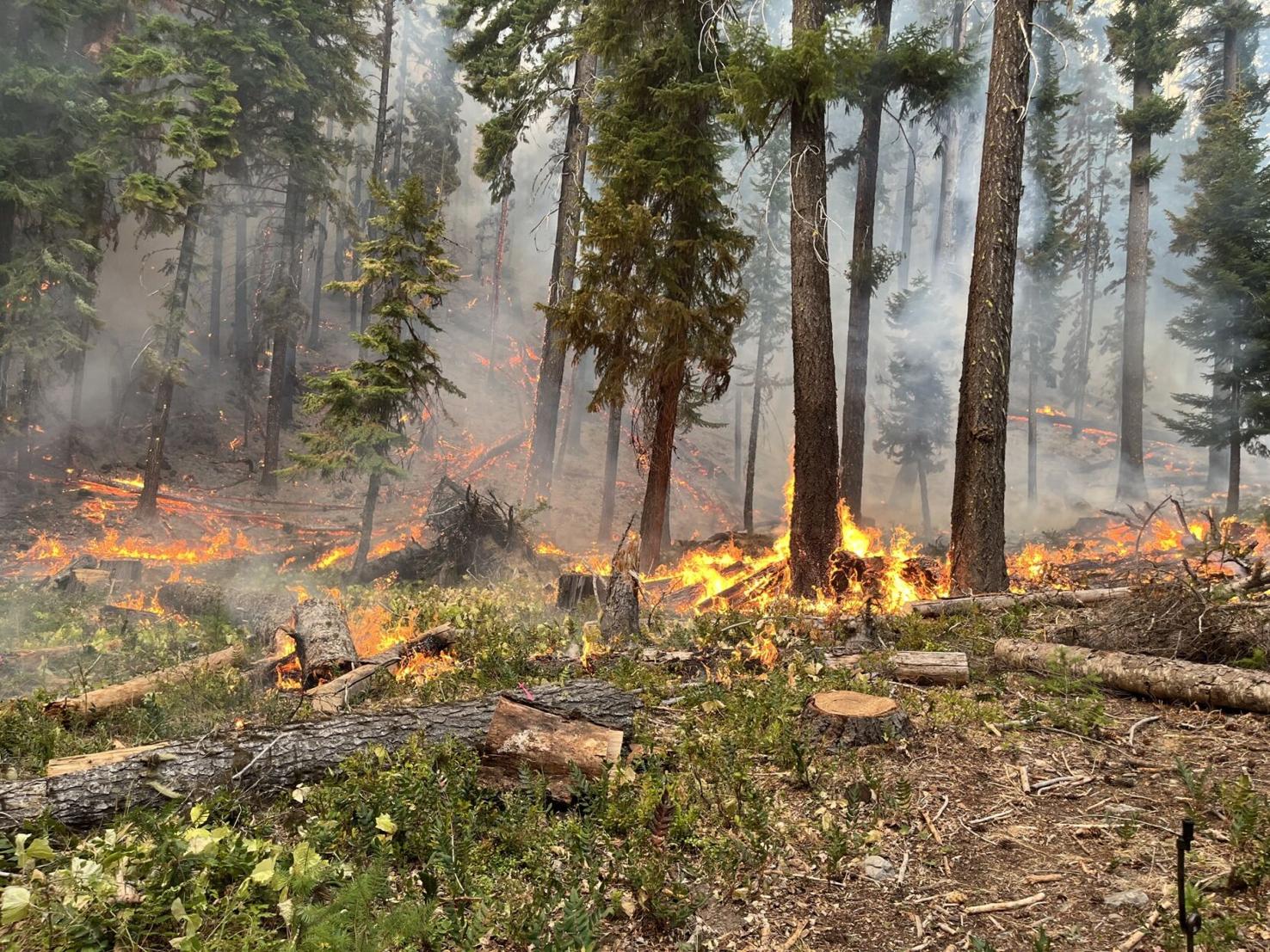 Wildcat Fire update: 7,566 acres, red flag warning for lightning ...