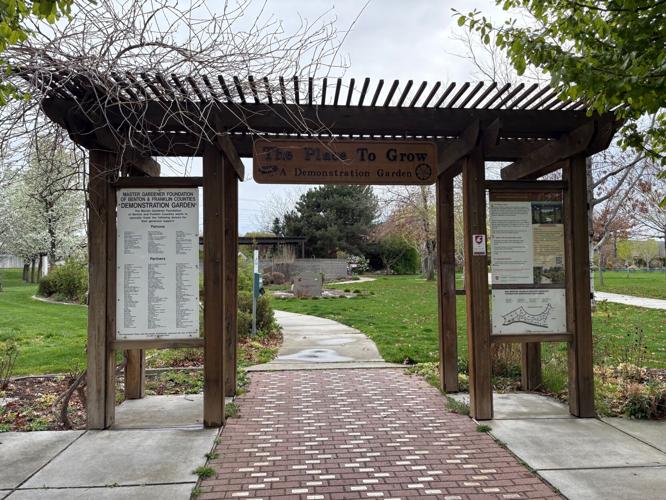 A spring stroll through Kennewick’s Master Gardener garden is perfect ...