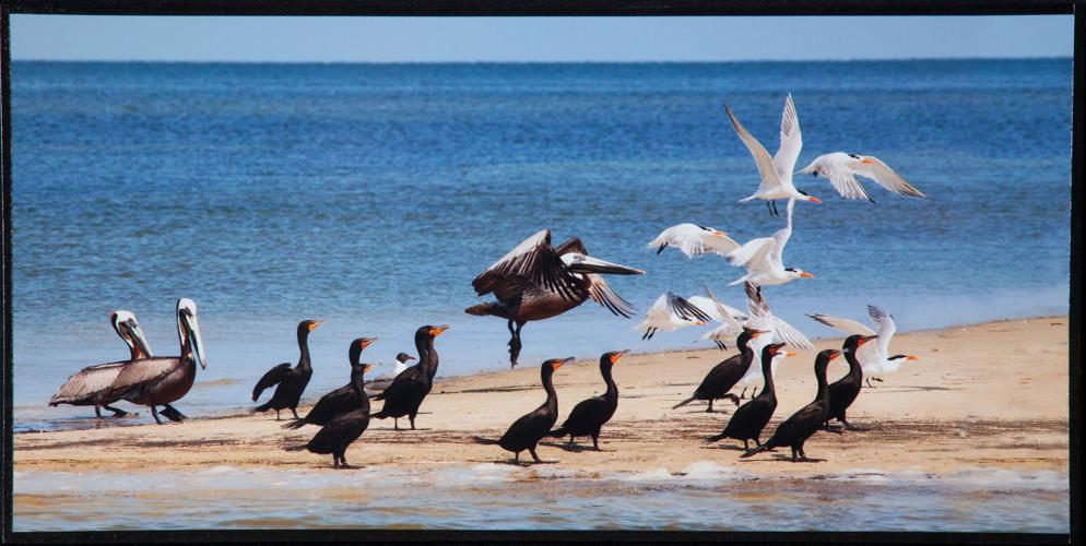 A few examples of Ken Whitmire's work | News Photos | yakimaherald.com