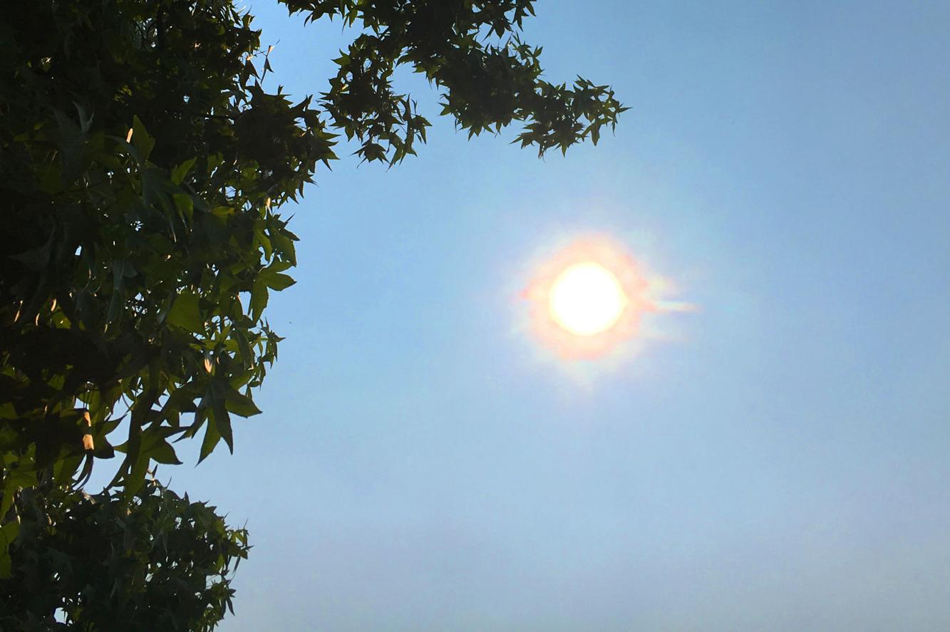 Heat advisory issued for Yakima Valley | Local | yakimaherald.com