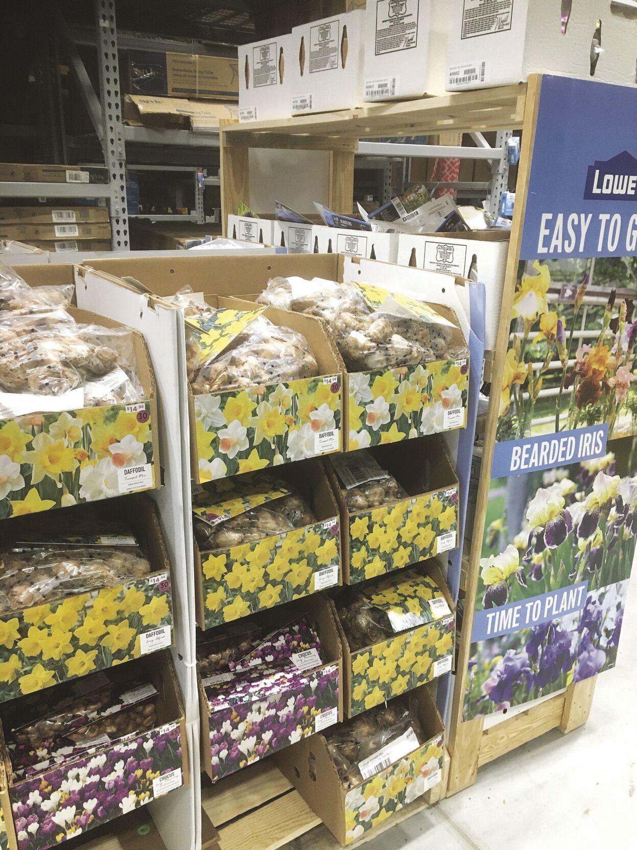 Barany In the Garden: Time to start thinking about fall bulbs | Explore ...