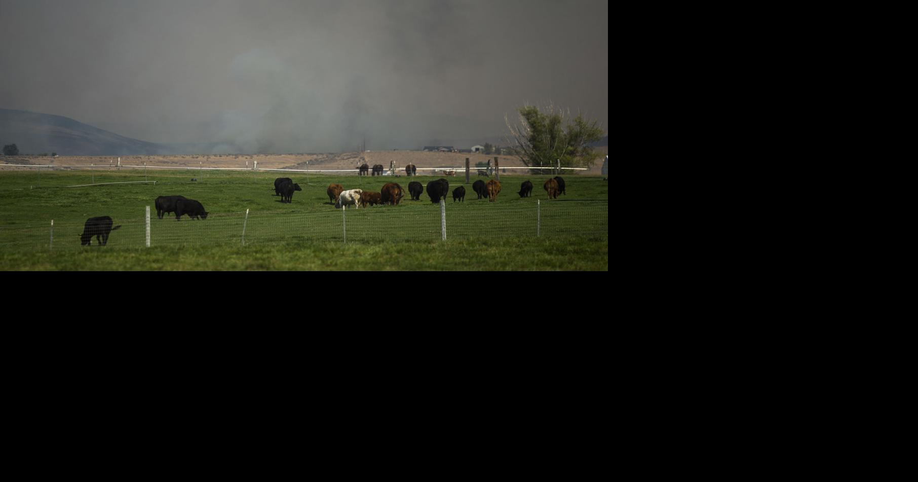 Evans Canyon Fire, estimated at 52,000 acres, is now 10% contained ...